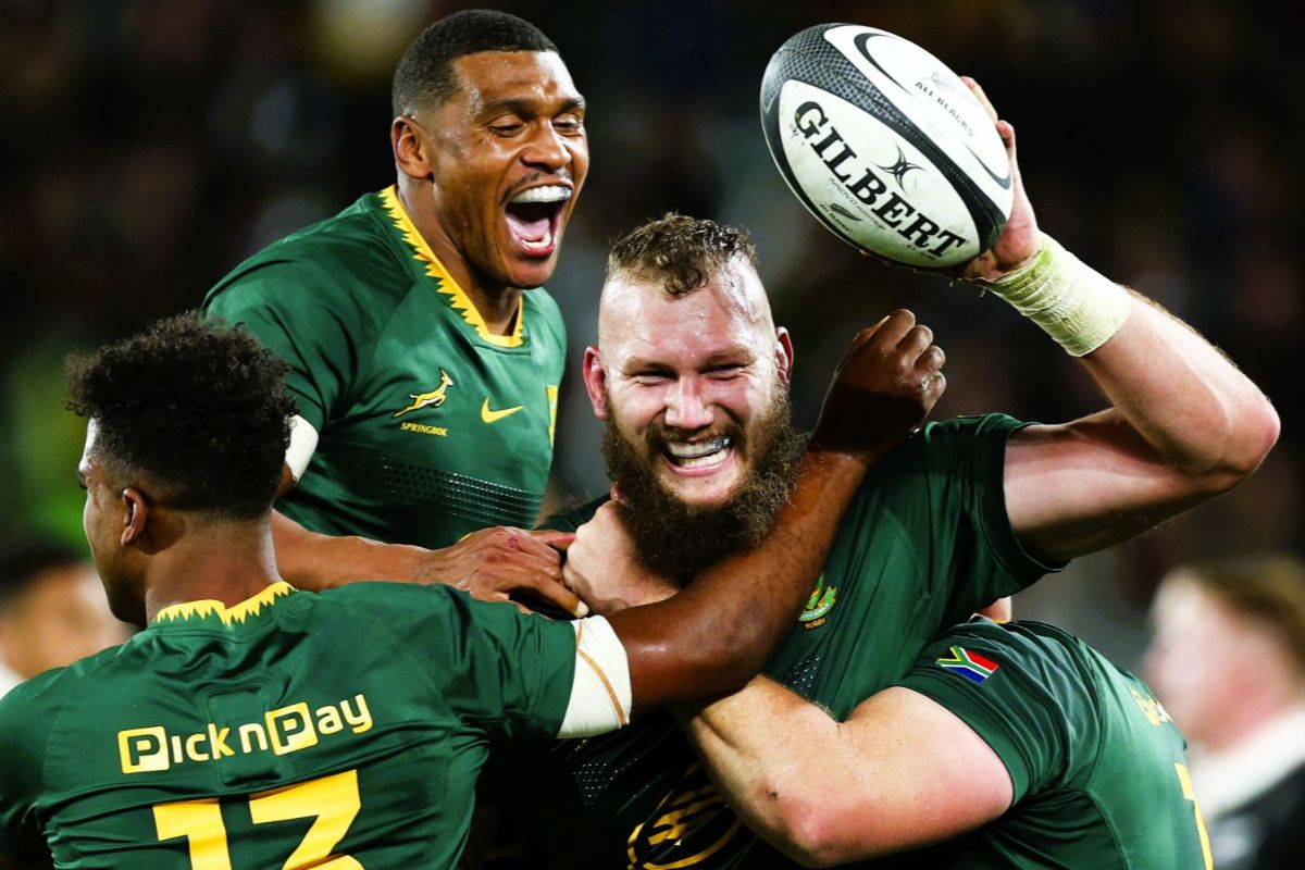 Springboks to host England, Scotland and Wales in July 2026 in new ...