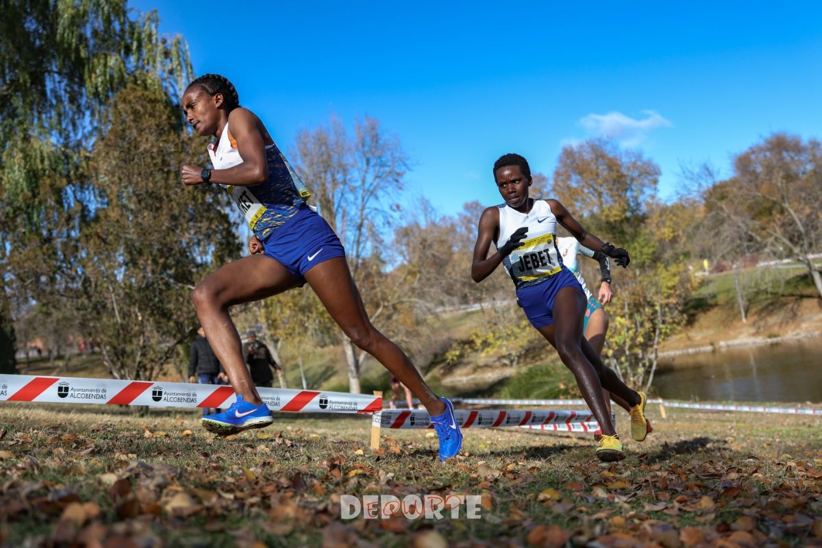 World Athletics Cross Country Tour: Ethiopia’s Yenenesh Shimket and ...